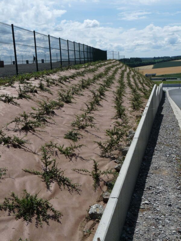 PLANTEX® Gold - Verdir