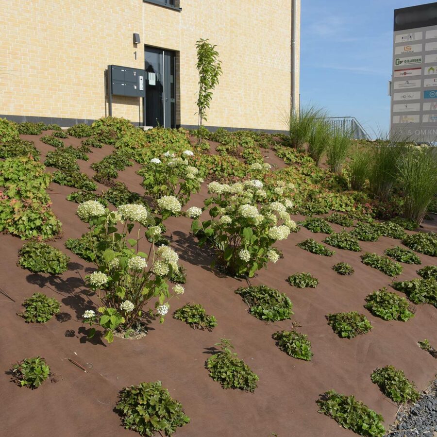 PLANTEX® Gold - Verdir