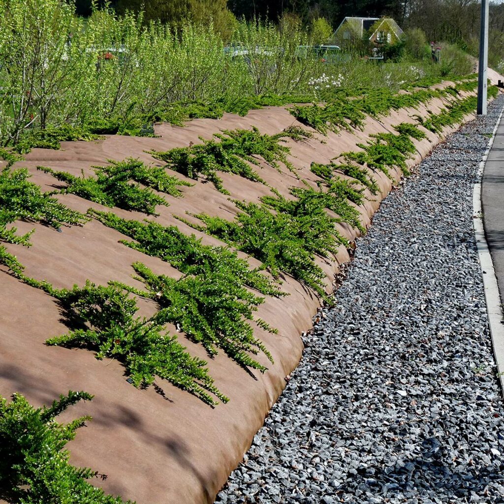 PLANTEX® Gold - Verdir